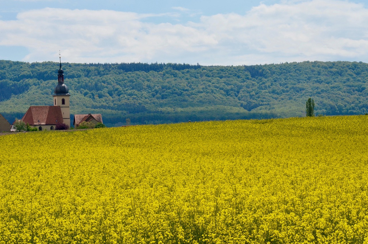 L’exode rural touche la moitié des jeunes majeurs | Le Paysan Vosgien
